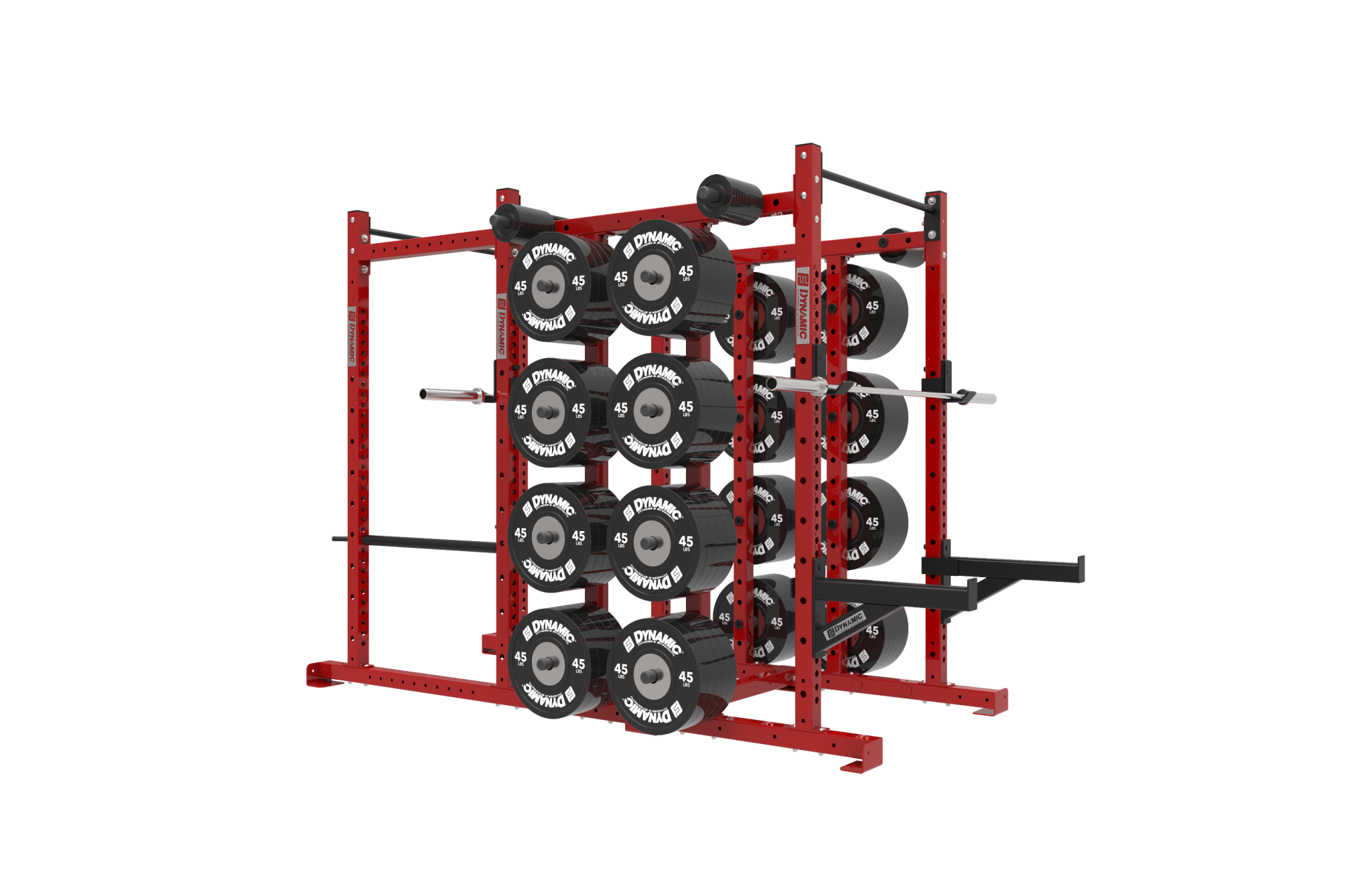 Dynamic - Direct Fitness Solutions Direct Fitness Solutions