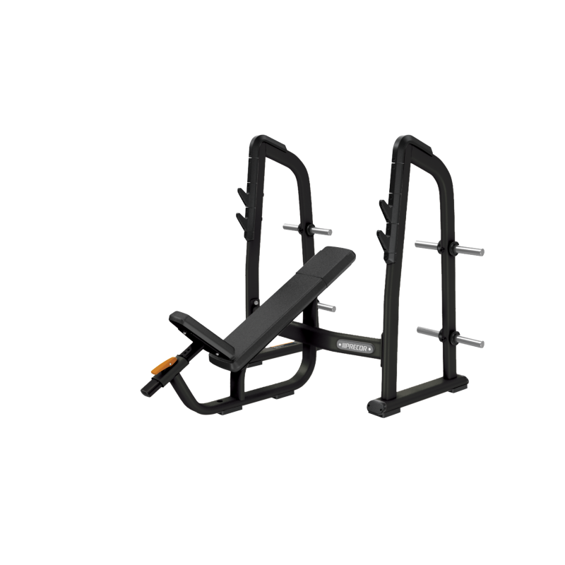 PRECOR Discovery Olympic Incline Bench - Direct Fitness Solutions ...